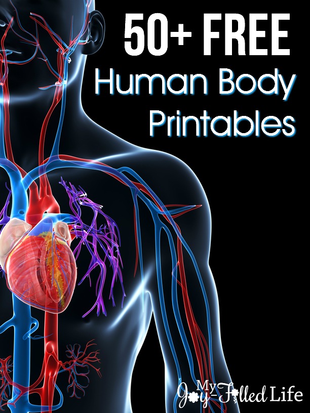 50 FREE Human Body Printables My Joy Filled Life 50 FREE Human Body Printables My Joy Filled Life