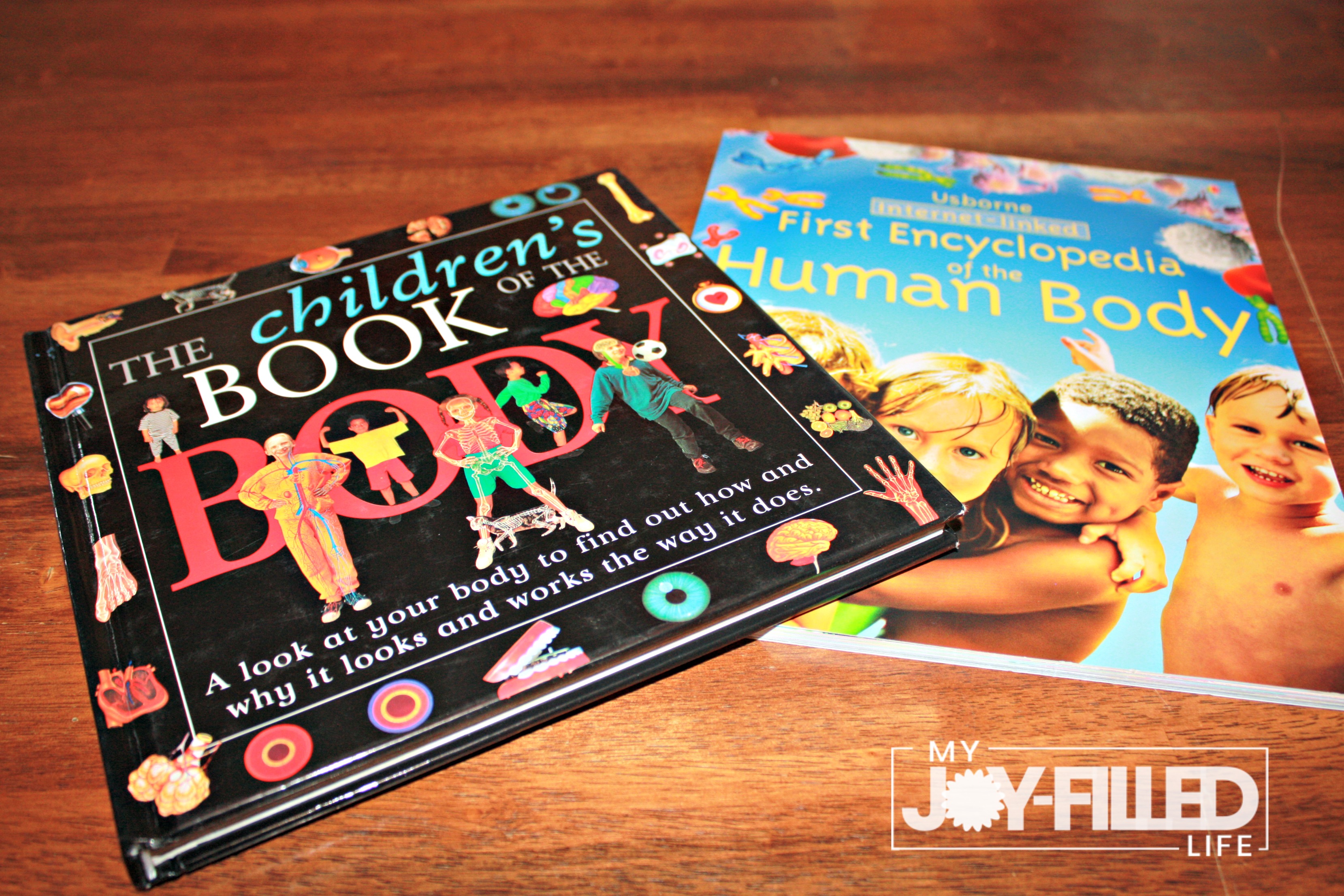 Human Body Unit - Brain & Nerves - My Joy-Filled Life