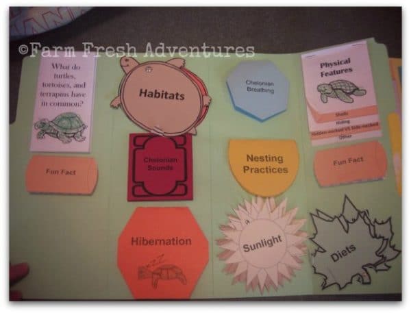 What Are Lapbooks? - My Joy-Filled Life