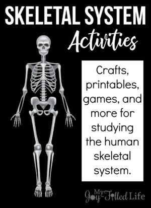 Activities for Learning About the Skeletal System - My Joy-Filled Life