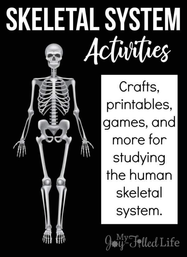 Activities for Learning About the Skeletal System - My Joy-Filled Life