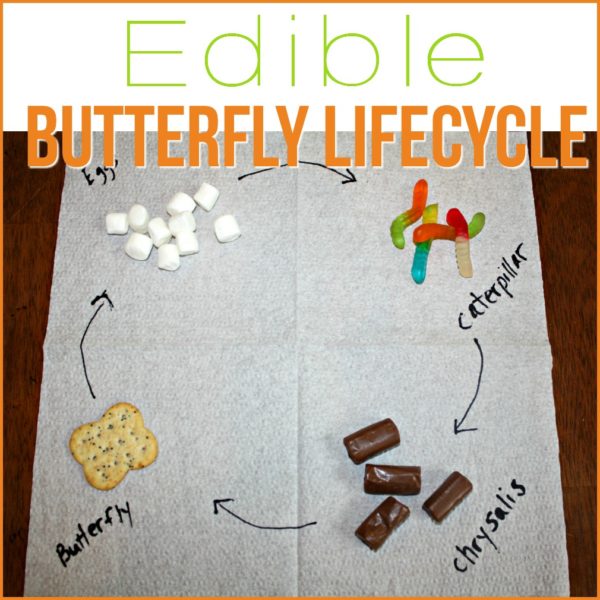 Edible square - My Joy-Filled Life