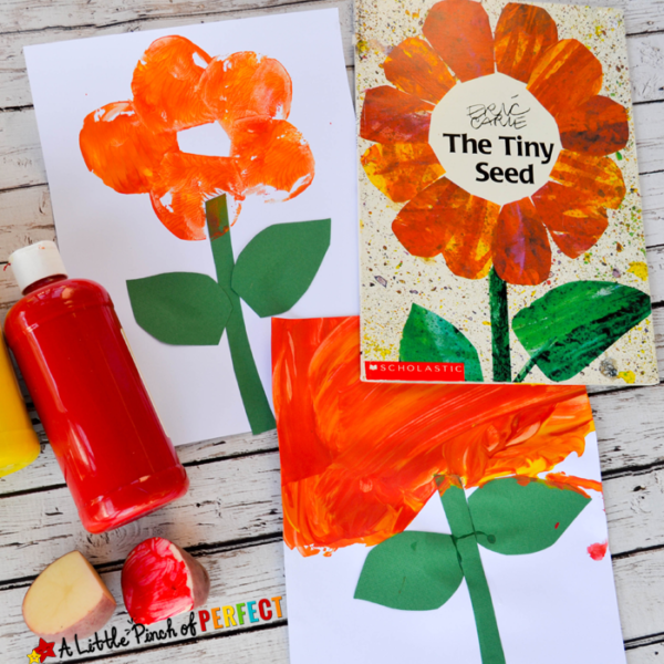 The Tiny Seed - Story Time Activities - My Joy-Filled Life