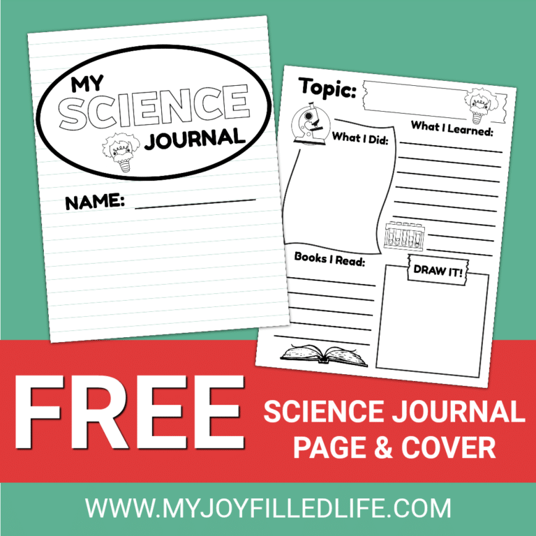 LET’S-READ-AND-FIND-OUT SCIENCE® BOOK SERIES ACTIVITIES - My Joy-Filled ...