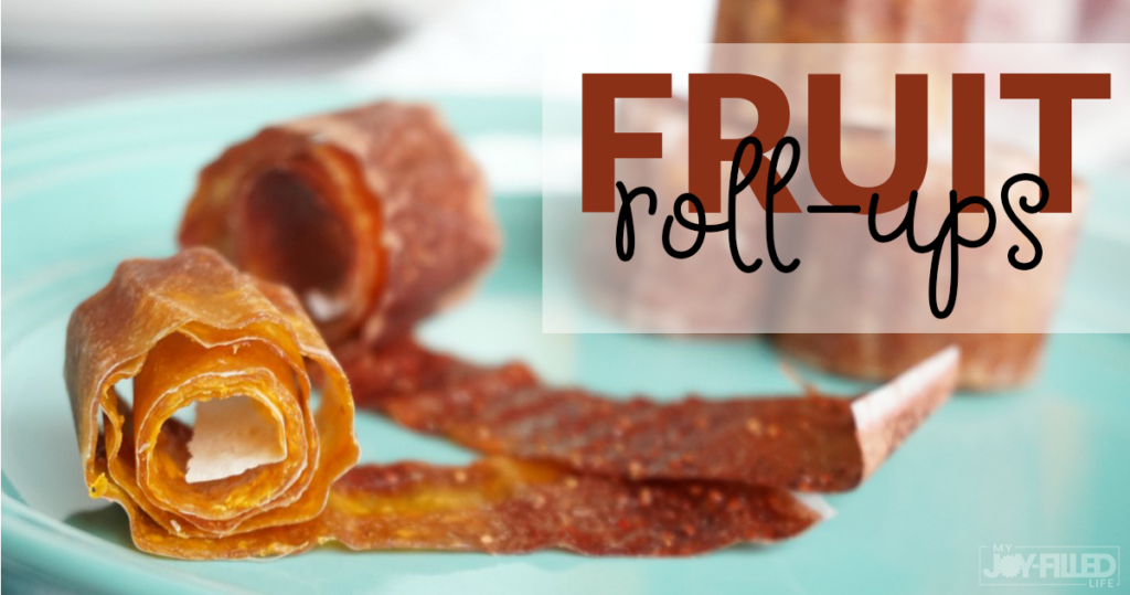 Homemade Fruit Roll-Ups - My Joy-Filled Life