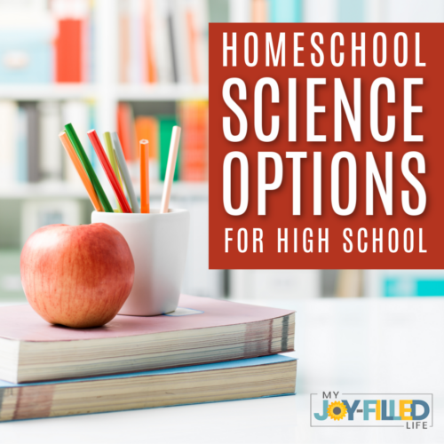 High School Science square - My Joy-Filled Life