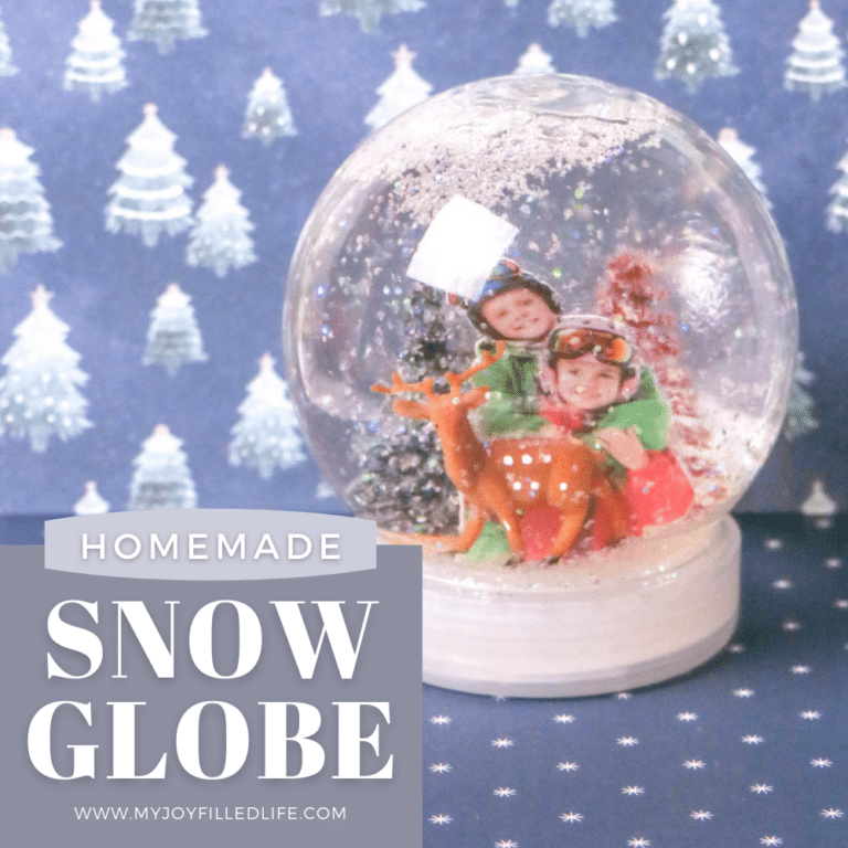 DIY Photo Snow Globe with Picture - My Joy-Filled Life