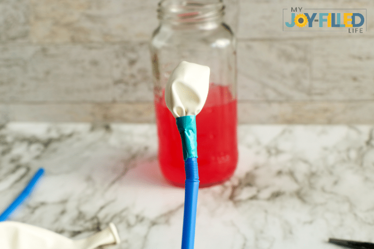 Pumping Heart Model - DIY Science Activity - My Joy-Filled Life