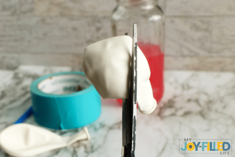 Pumping Heart Model - DIY Science Activity - My Joy-Filled Life