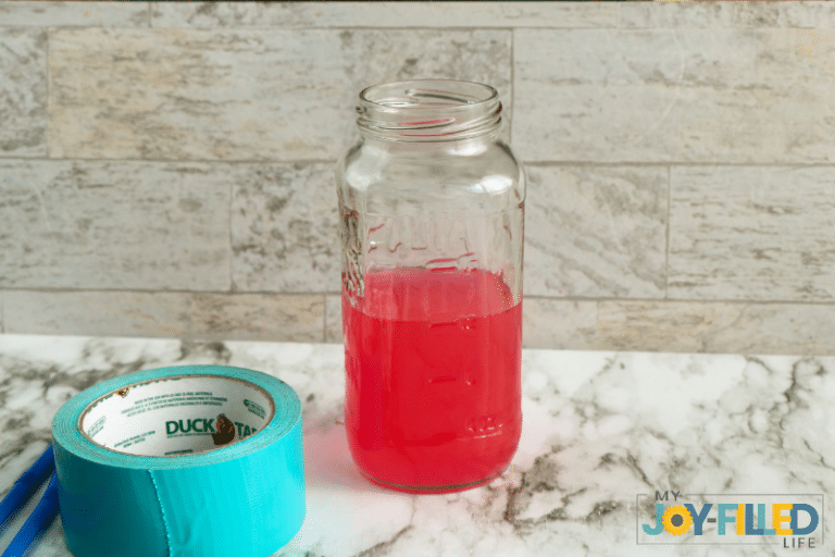 Pumping Heart Model - DIY Science Activity - My Joy-Filled Life