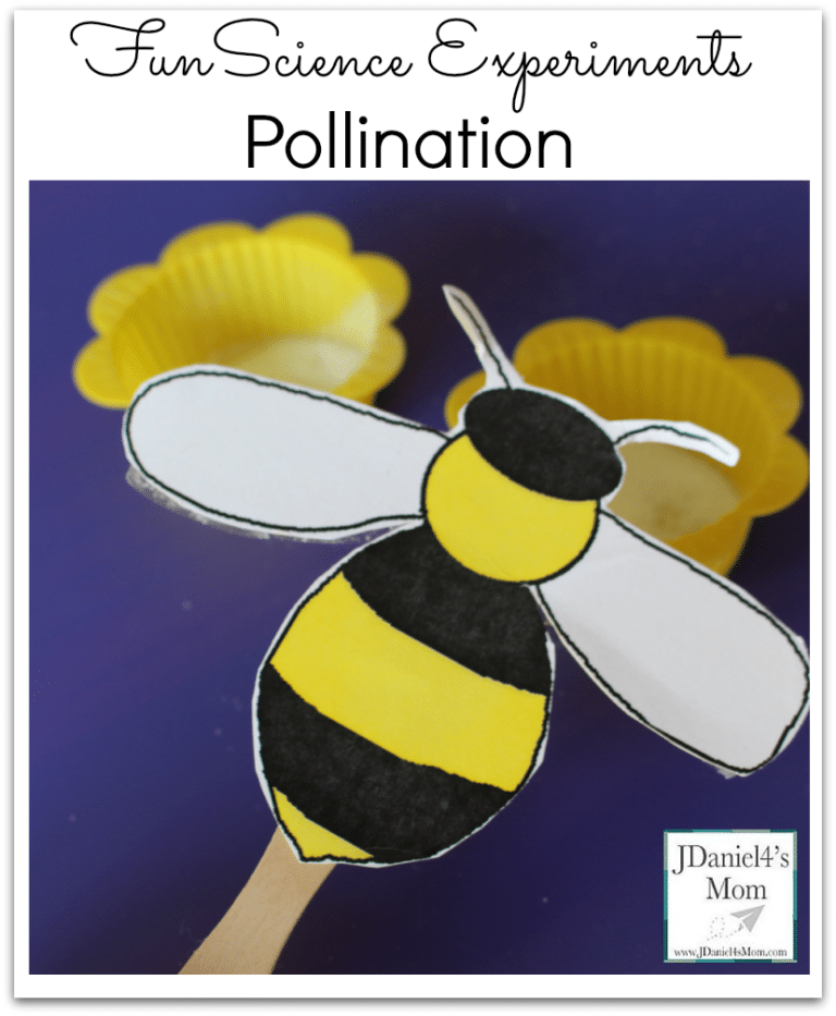 Insect & Bug Activities for Kids - My Joy-Filled Life