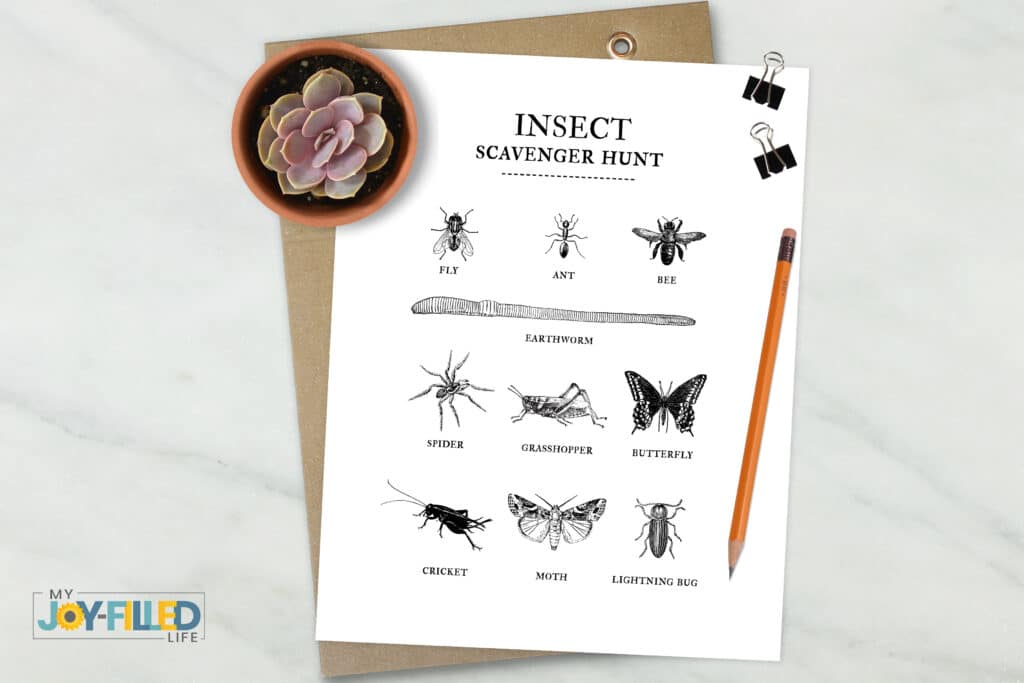 Insect & Bug Activities for Kids - My Joy-Filled Life