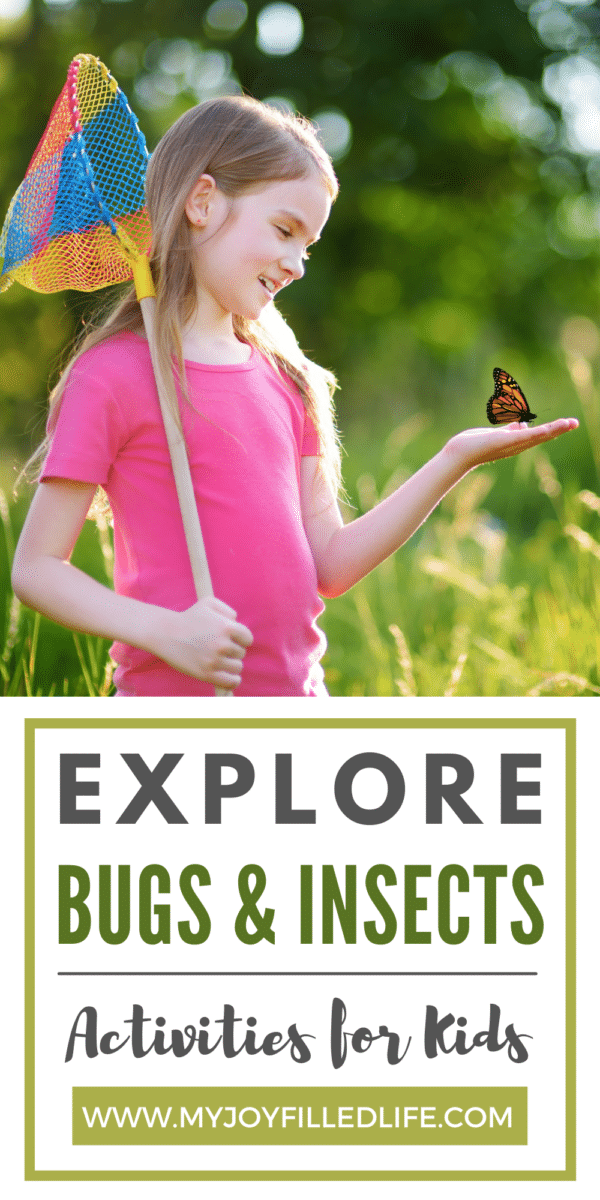 Insect & Bug Activities for Kids - My Joy-Filled Life
