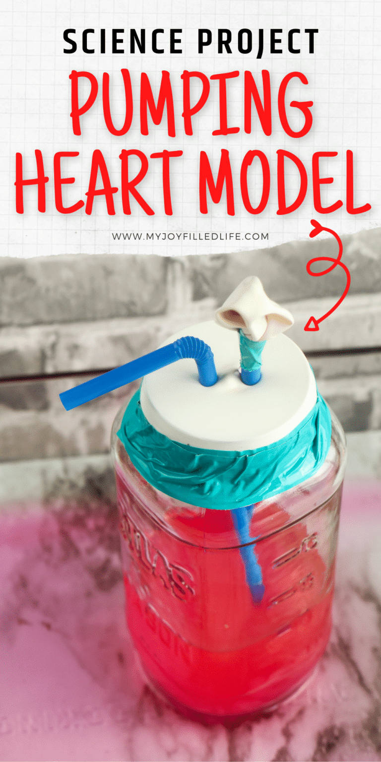 Pumping Heart Model - DIY Science Activity - My Joy-Filled Life