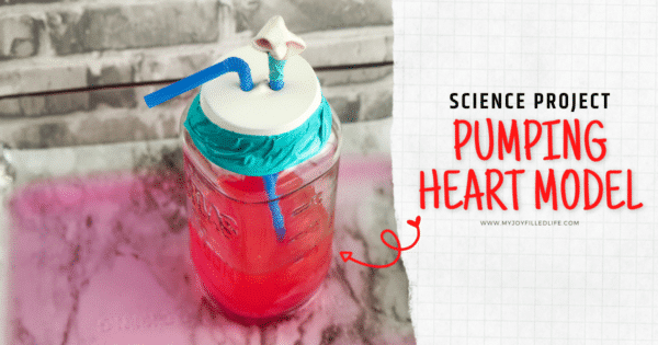 Pumping Heart Model - DIY Science Activity - My Joy-Filled Life