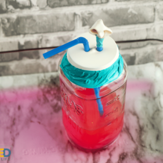 Pumping Heart Model - DIY Science Activity - My Joy-Filled Life