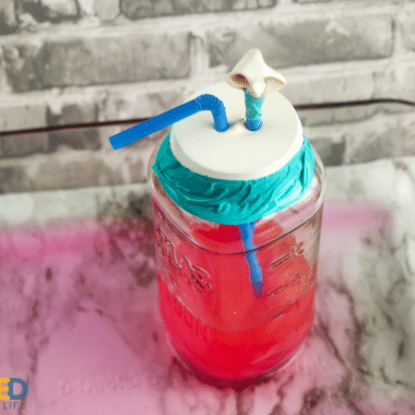 Pumping Heart Model - DIY Science Activity - My Joy-Filled Life