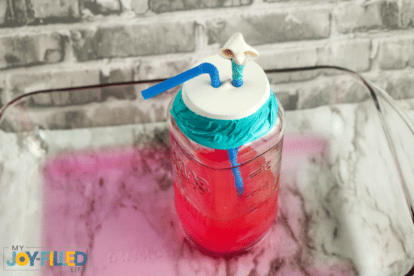 Pumping Heart Model - DIY Science Activity - My Joy-Filled Life