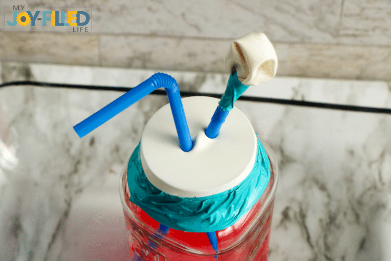 Pumping Heart Model - DIY Science Activity - My Joy-Filled Life