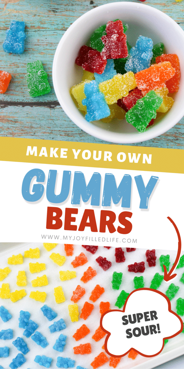 Homemade Sour Gummy Bears - My Joy-Filled Life