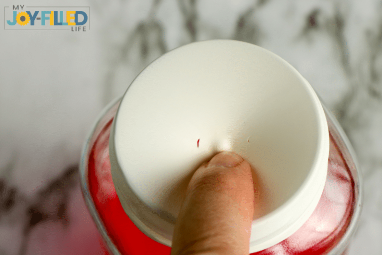 Pumping Heart Model - DIY Science Activity - My Joy-Filled Life