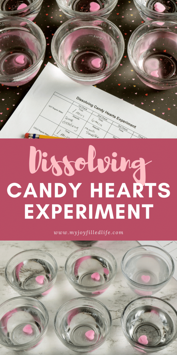 Dissolving Candy Hearts Experiment - My Joy-Filled Life