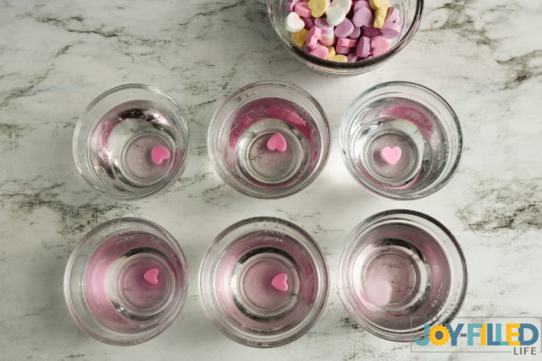 Dissolving Candy Hearts Experiment - My Joy-Filled Life