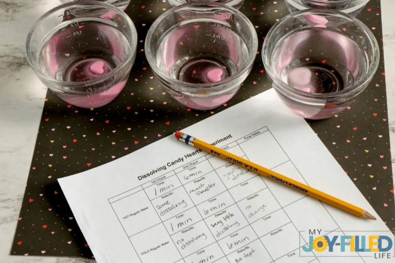 Dissolving Candy Hearts Experiment - My Joy-Filled Life