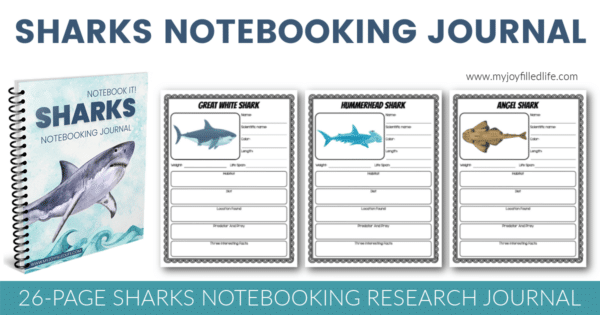 Sharks Notebooking Journal