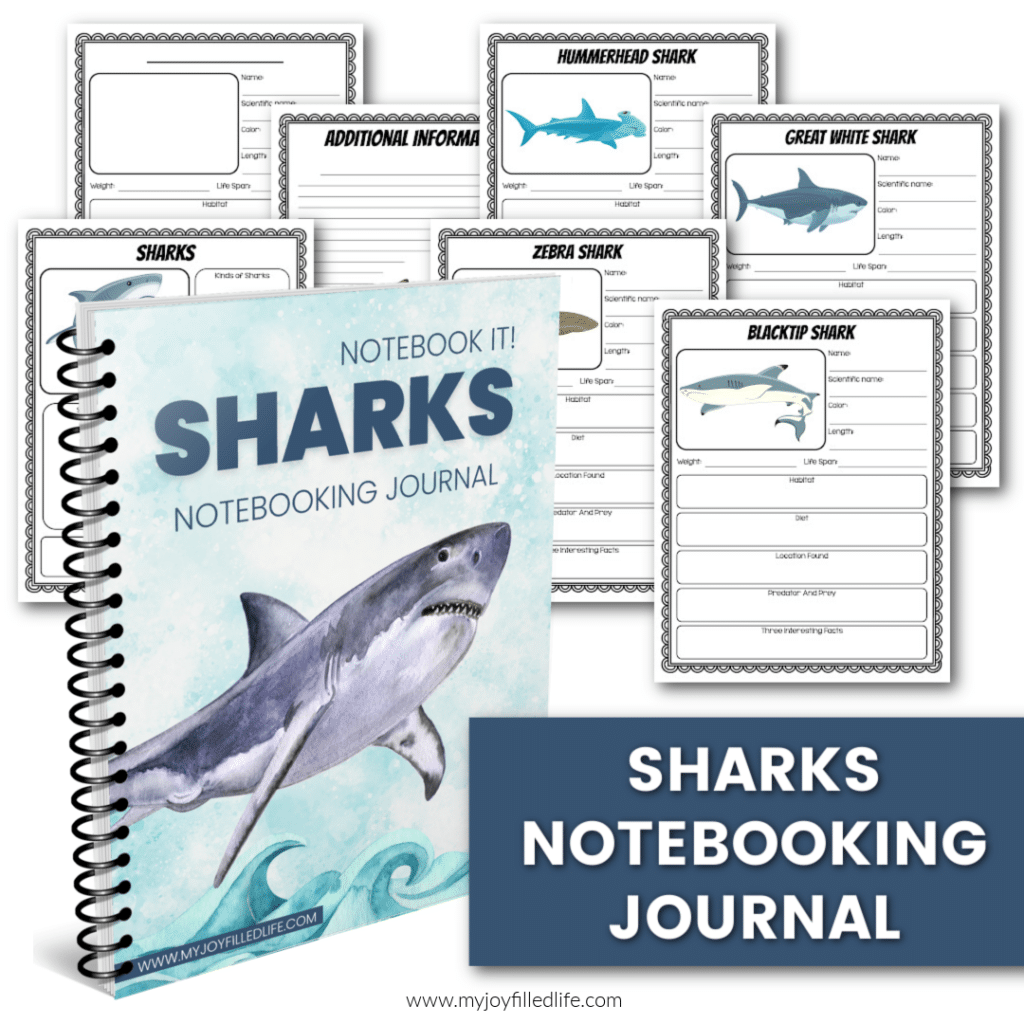 My Joy-Filled Life - Inspiration for Your Home & Homeschool