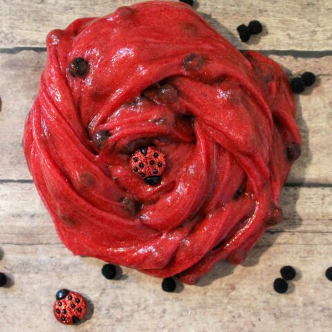 Ladybug Slime - My Joy-Filled Life