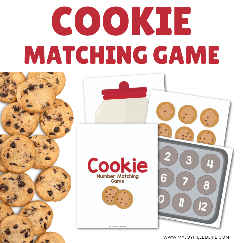 My Joy-Filled Life - Inspiration for Your Home & Homeschool