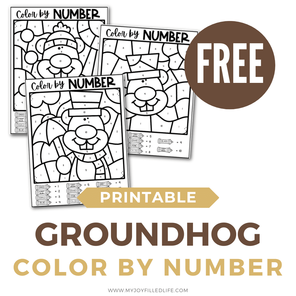 Color by Number Groundhog Square - My Joy-Filled Life