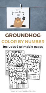 Groundhog Day Color by Number Worksheets - My Joy-Filled Life